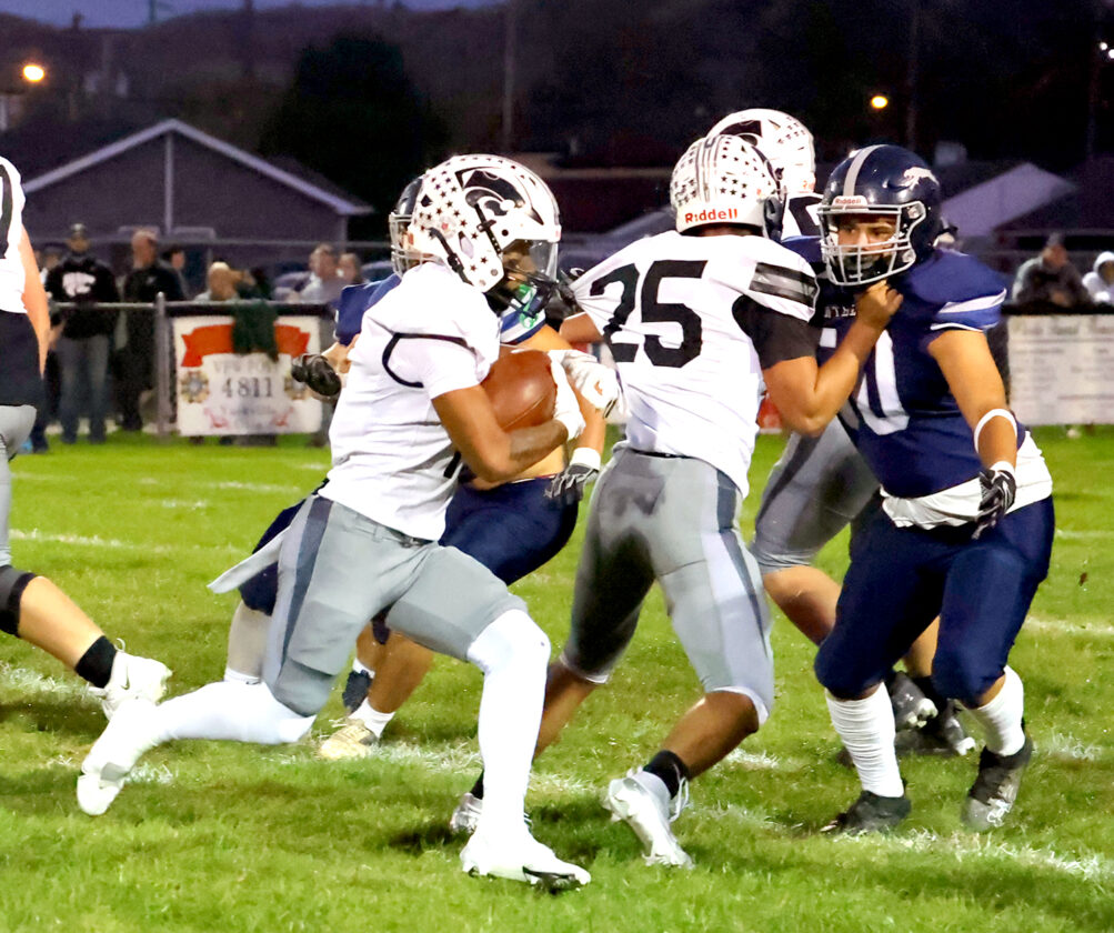 Wildcats bounce back against the Panthers | News, Sports, Jobs - The ...